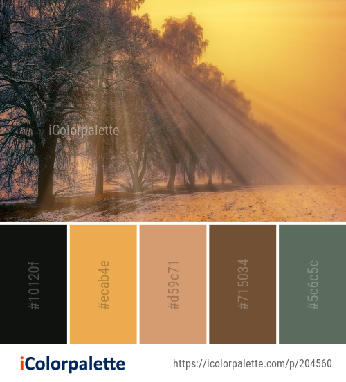 Color Palette Ideas from Morning Sky Tree Image | iColorpalette