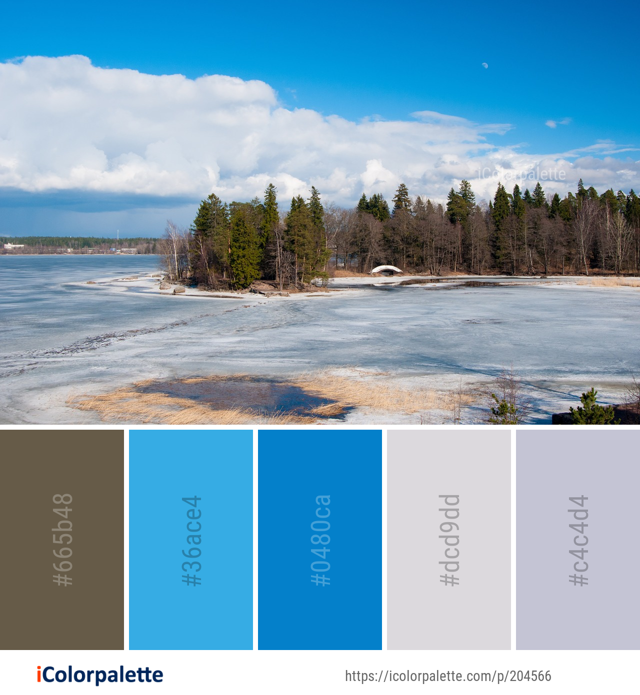 Color Palette Ideas from Sky Water Nature Image | iColorpalette