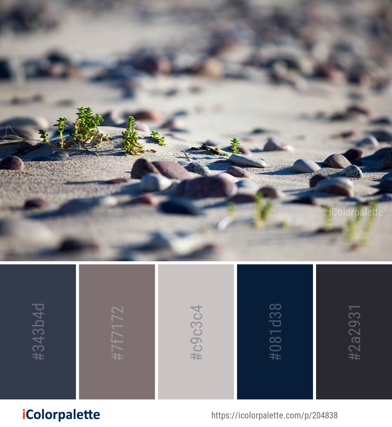 Color Palette Ideas from Water Shore Sand Image | iColorpalette