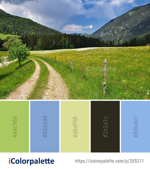 Color Palette Ideas from Nature Grassland Mountainous Landforms Image ...