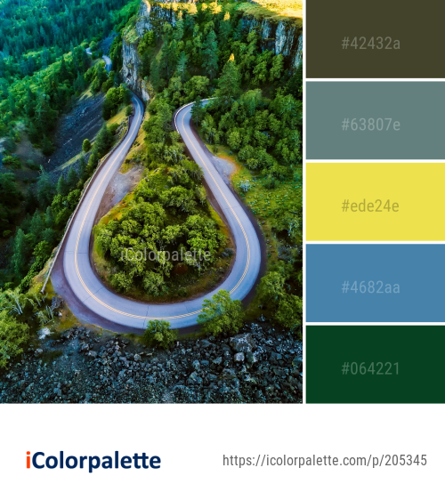 Color Palette Ideas from Nature Vegetation Road Image | iColorpalette