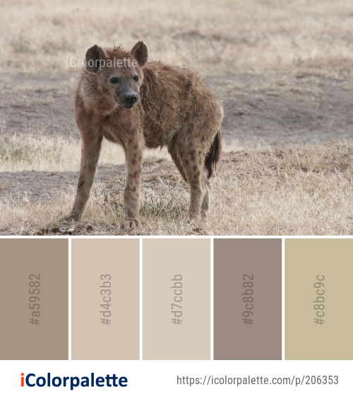 115+ Safari Color Palette ideas in 2026 | iColorPalette