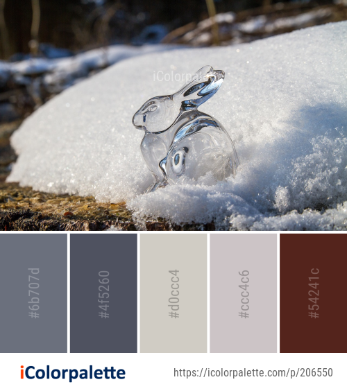 Color Palette Ideas from Water Freezing Snow Image | iColorpalette