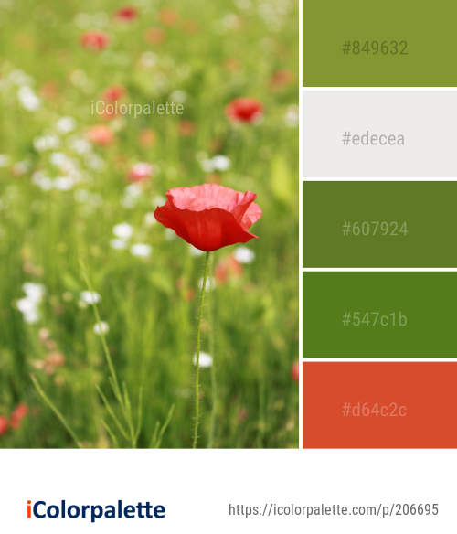 Color Palette Ideas from Flower Wildflower Meadow Image | iColorpalette