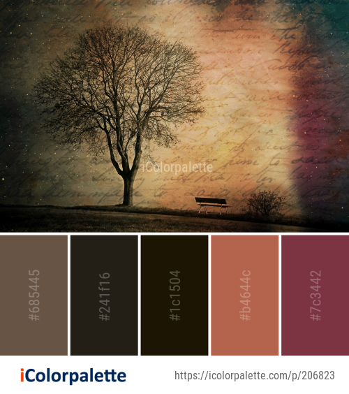 Color Palette Ideas from Nature Sky Tree Image | iColorpalette