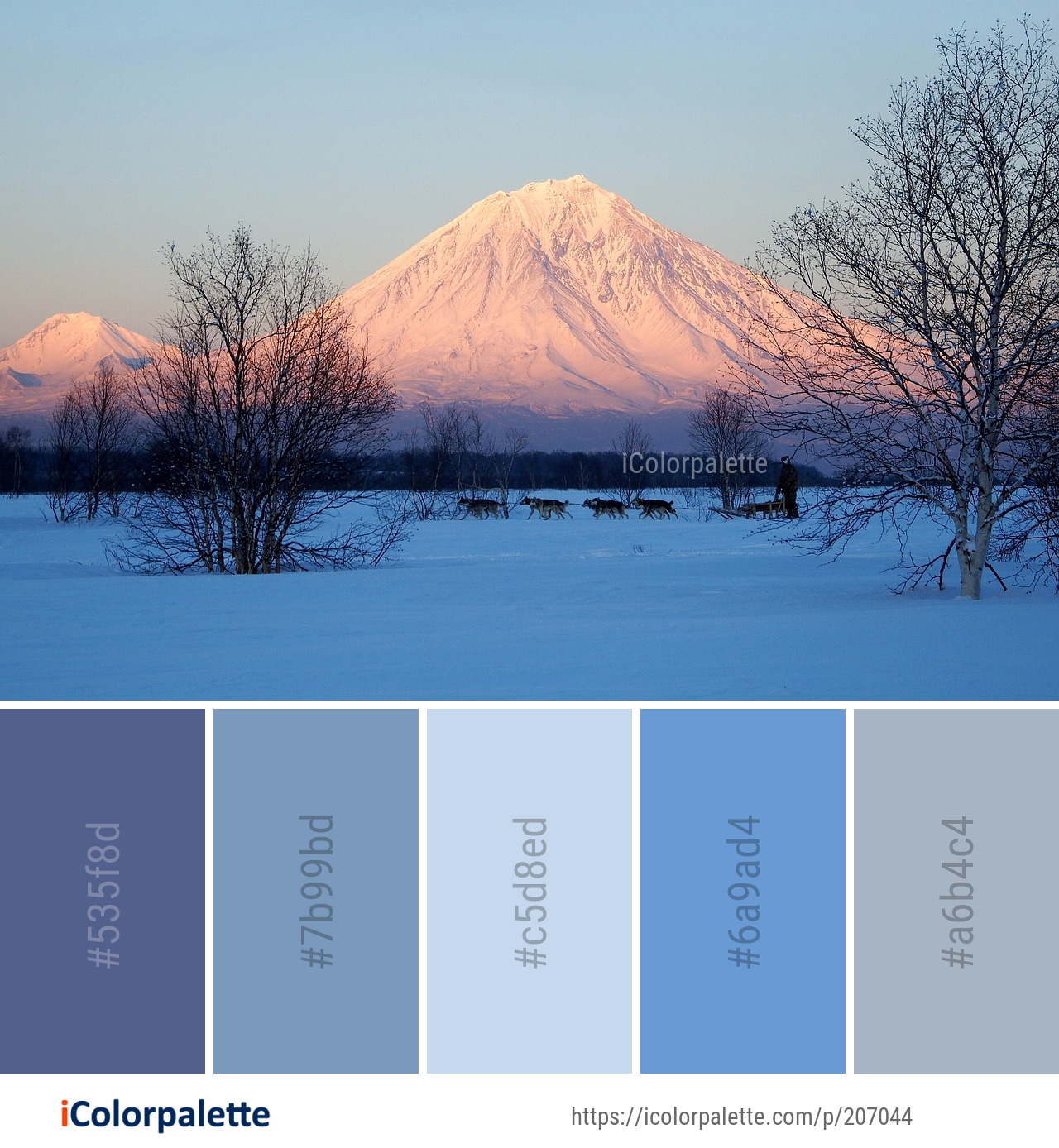 70 Winter Color Palette | Curated collection of Color Palettes