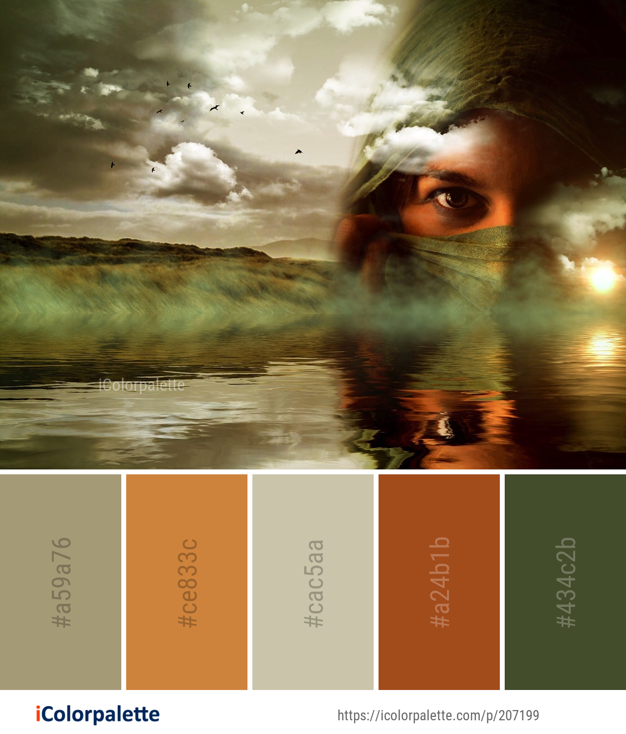 Color Palette Ideas from Reflection Water Sky Image | iColorpalette