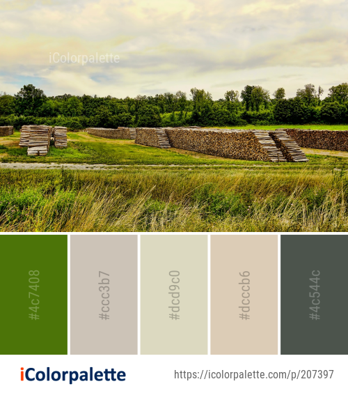 Color Palette Ideas from Sky Grass Field Image | iColorpalette