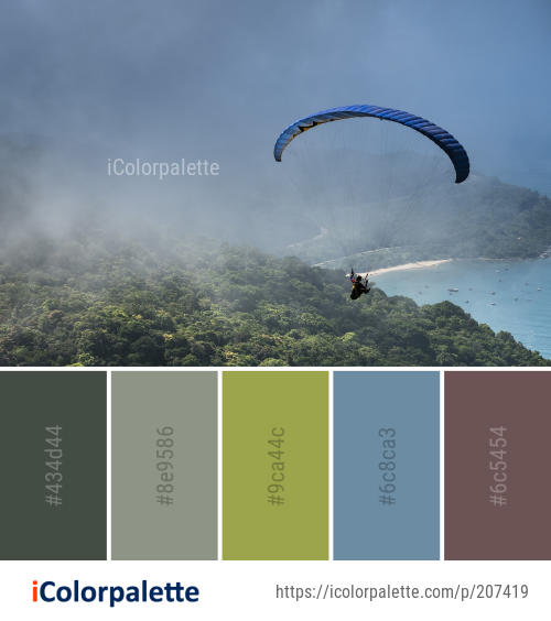 20 Air Sports Color Palette ideas in 2025 | iColorpalette