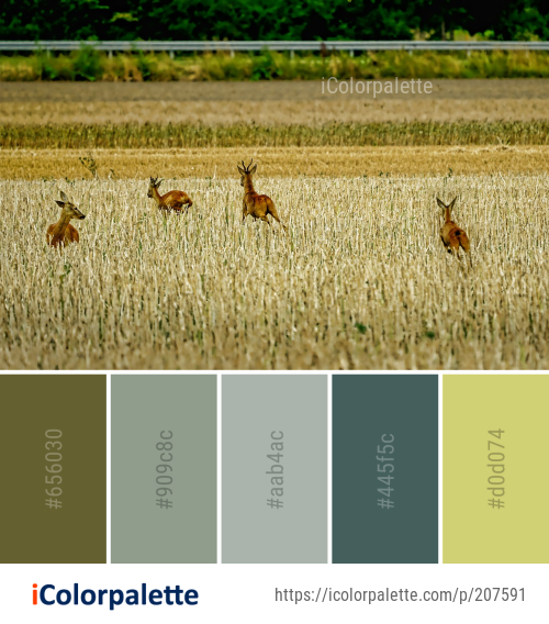 Color Palette Ideas from Wildlife Fauna Ecosystem Image | iColorpalette