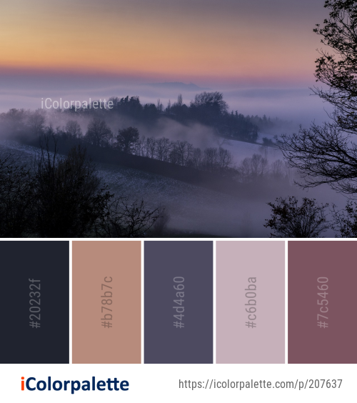Color Palette Ideas from Sky Mist Atmosphere Image | iColorpalette