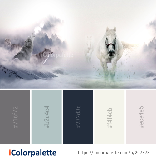 74+ Wolf Color Palette ideas in 2025 | iColorPalette