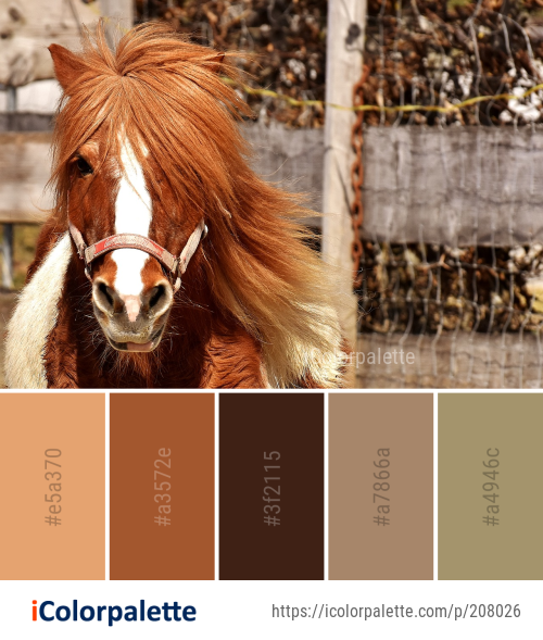 Color Palette Ideas from Horse Mane Like Mammal Image | iColorpalette