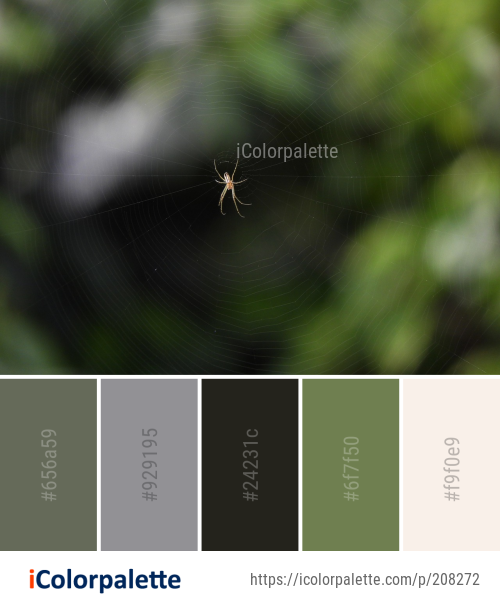Color Palette Ideas from Spider Arachnid Invertebrate Image | iColorPalette