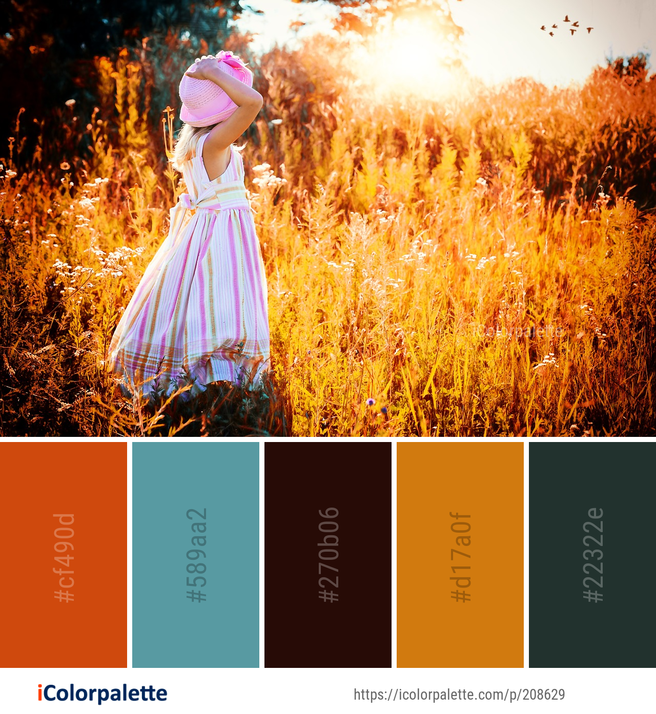 Color Palette Ideas from Nature Light Sunlight Image | iColorpalette