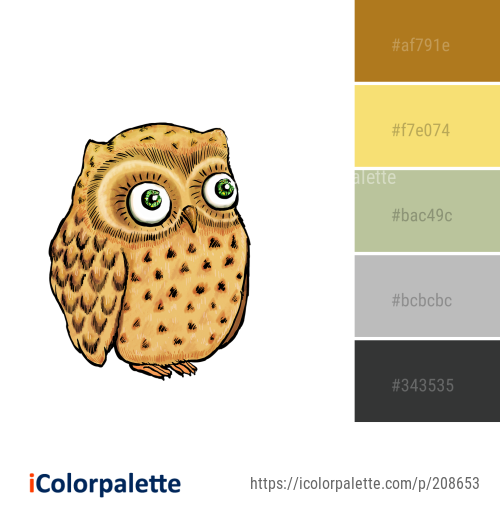 Color Palette Ideas from Owl Bird Of Prey Image | iColorpalette