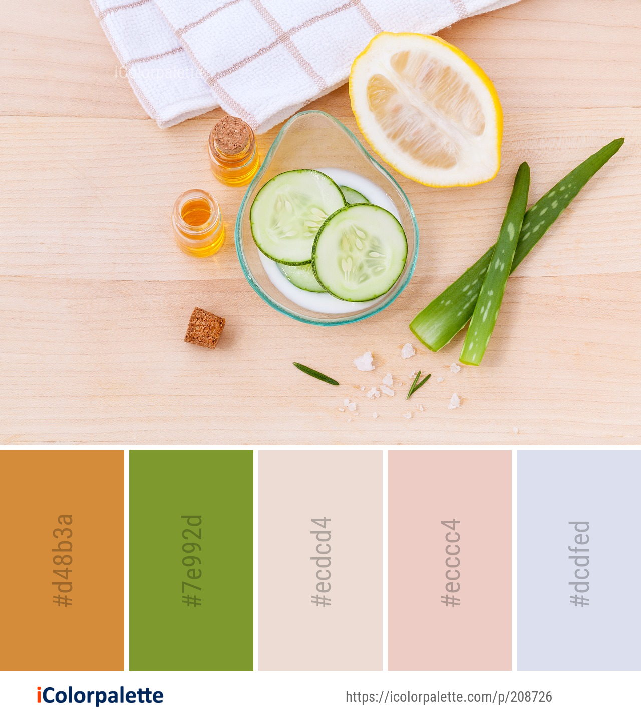 Color Palette Ideas from Vegetable Vegetarian Food Lime Image ...