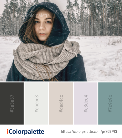 8+ Scarf Color Palette ideas in 2025 | iColorPalette