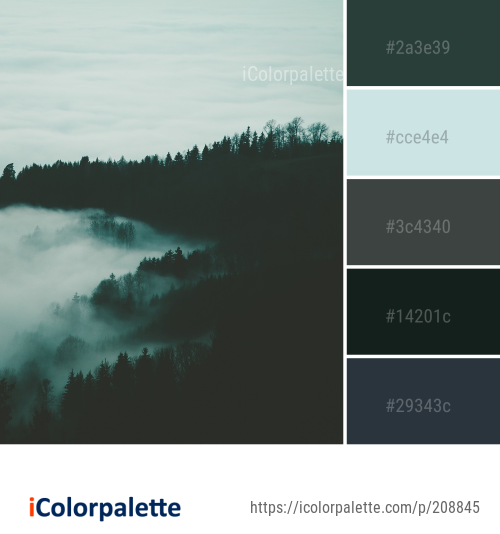 Color Palette Ideas from Sky Mist Fog Image | iColorpalette