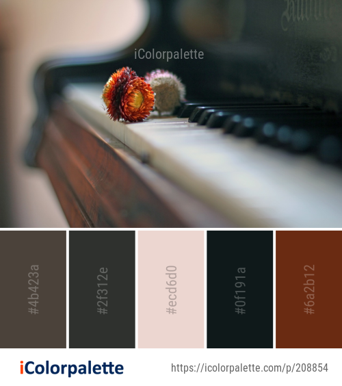 Color Palette Ideas from Close Up Macro Photography Image | iColorpalette