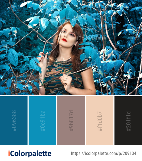 Color Palette Ideas from Blue Beauty Flower Image | iColorpalette