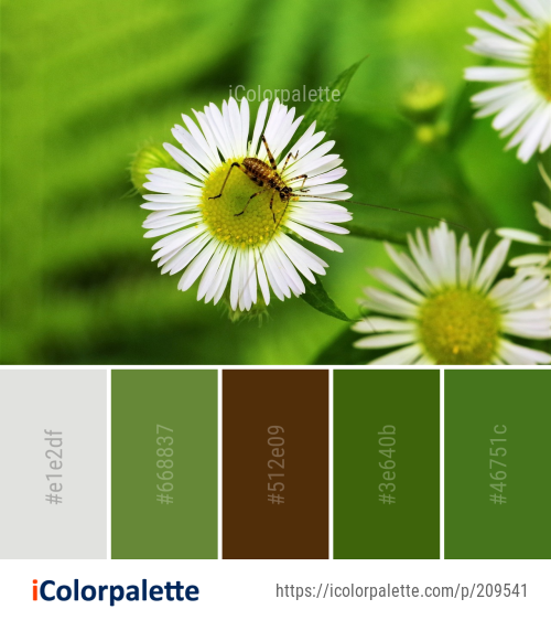 Color Palette Ideas from Flower Honey Bee Nectar Image | iColorpalette