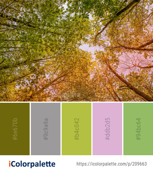 Color Palette Ideas from Tree Nature Leaf Image | iColorpalette