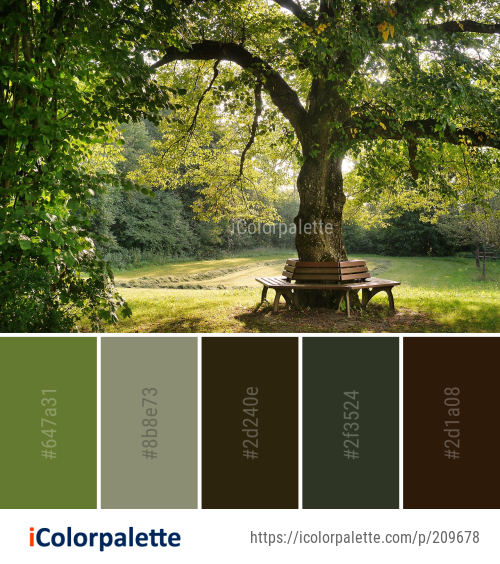 Color Palette Ideas from Tree Nature Vegetation Image | iColorpalette