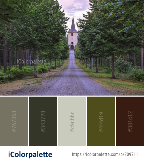 Color Palette Ideas from Nature Tree Path Image | iColorpalette