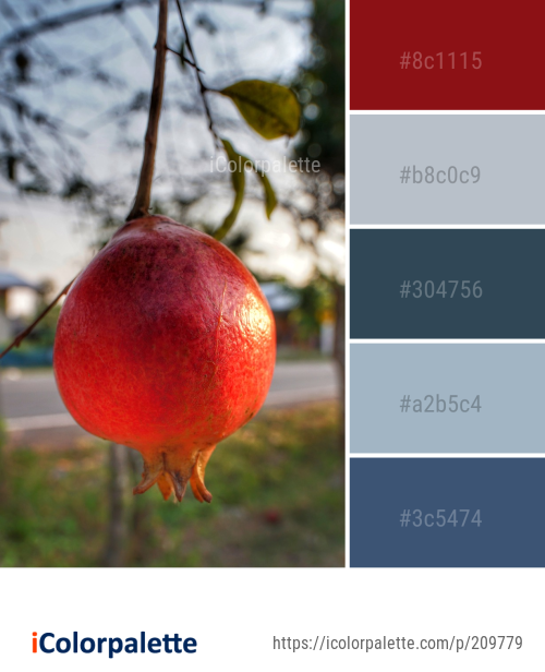 14+ Pomegranate Color Palette ideas in 2026 | iColorPalette