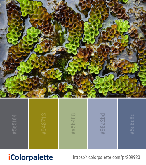 69+ Moss Color Palette ideas in 2025 | iColorPalette