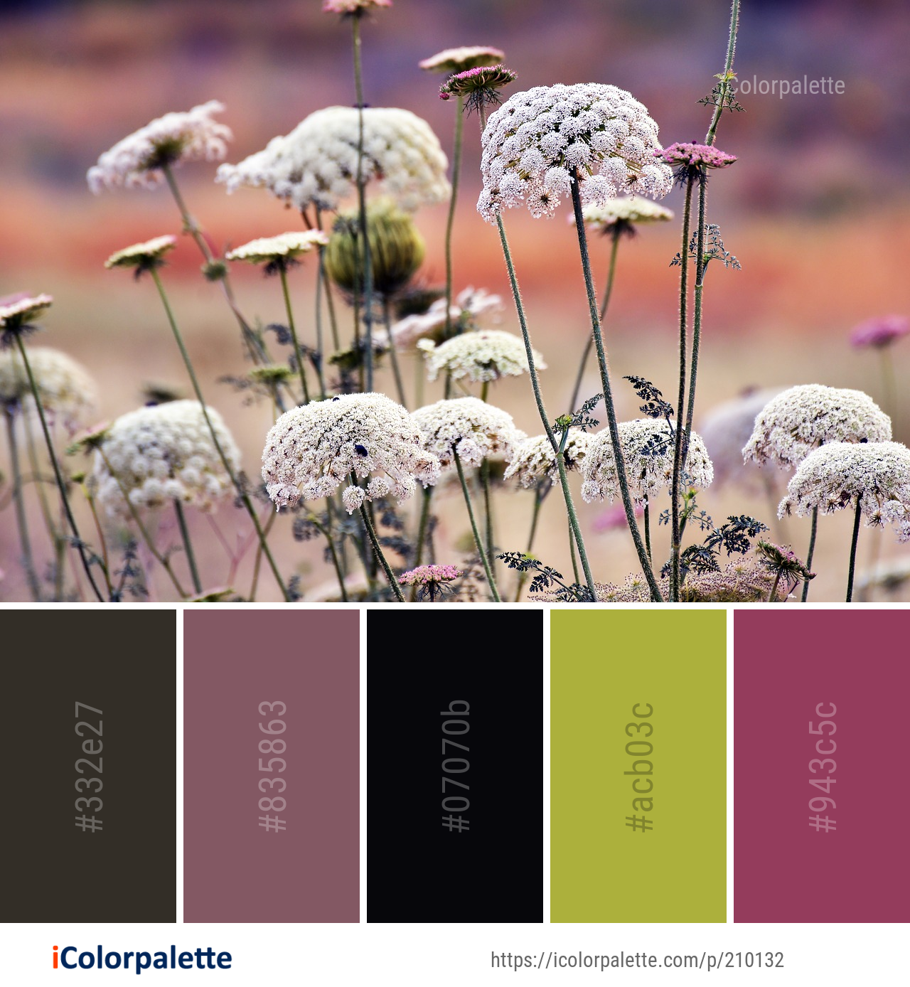 Color Palette Ideas from Flower Plant Flora Image | iColorpalette