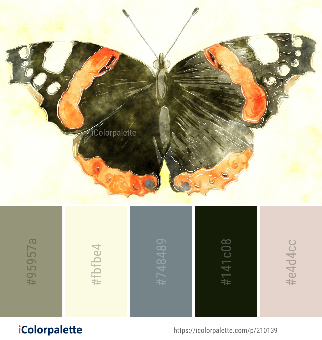 Color Palette Ideas from Butterfly Moths And Butterflies Insect Image ...