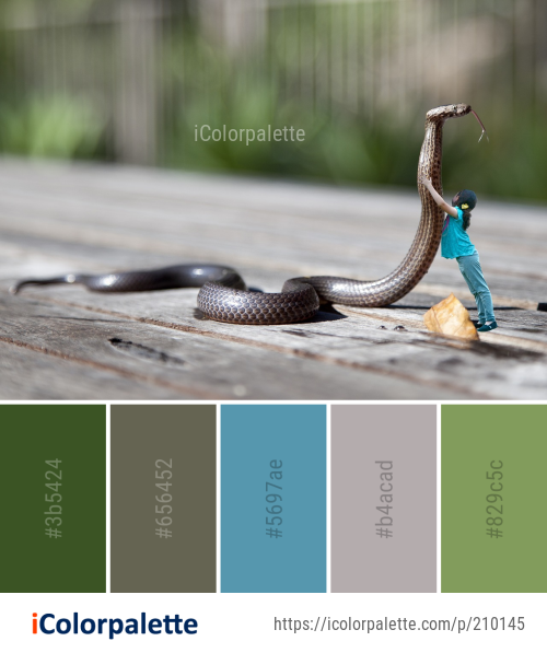 17+ Snake Color Palette ideas in 2026 | iColorPalette