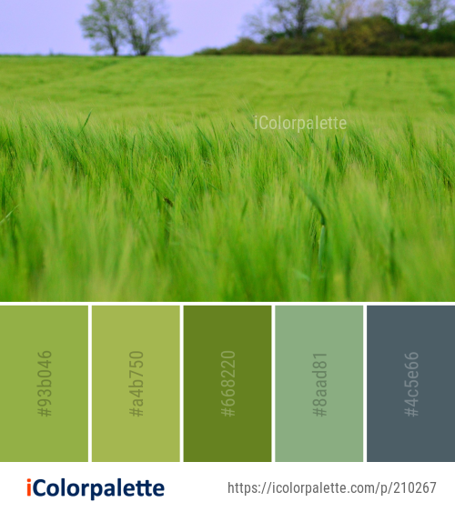 Color Palette Ideas from Grassland Grass Field Image | iColorpalette