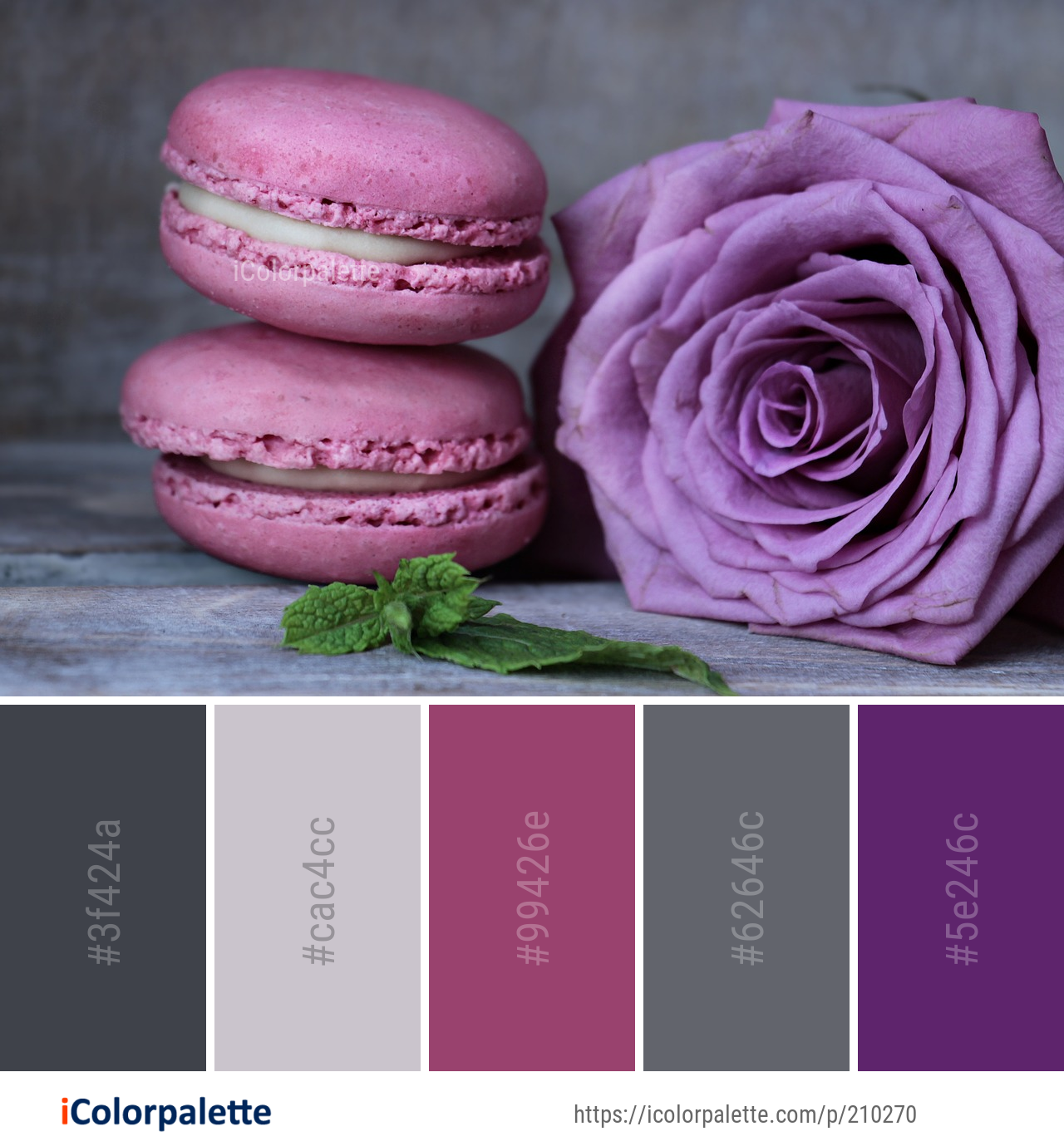 Color Palette Ideas from Macaroon Pink Sweetness Image | iColorpalette