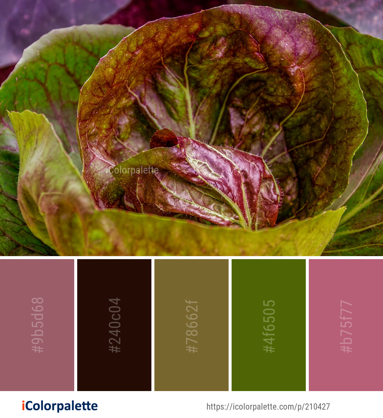Color Palette Ideas from Vegetable Leaf Image | iColorpalette