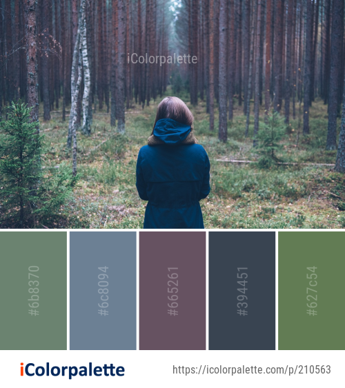 Color Palette Ideas from Tree Forest Nature Image | iColorpalette
