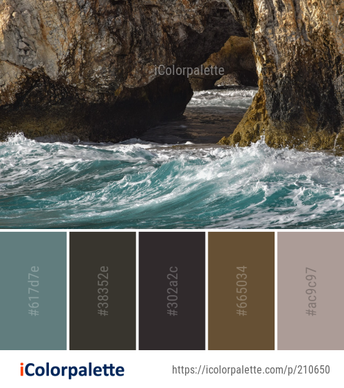 Color Palette Ideas from Water Body Of Wave Image | iColorpalette