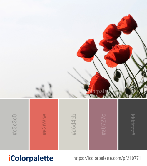 Color Palette Ideas from Flower Red Flowering Plant Image | iColorpalette