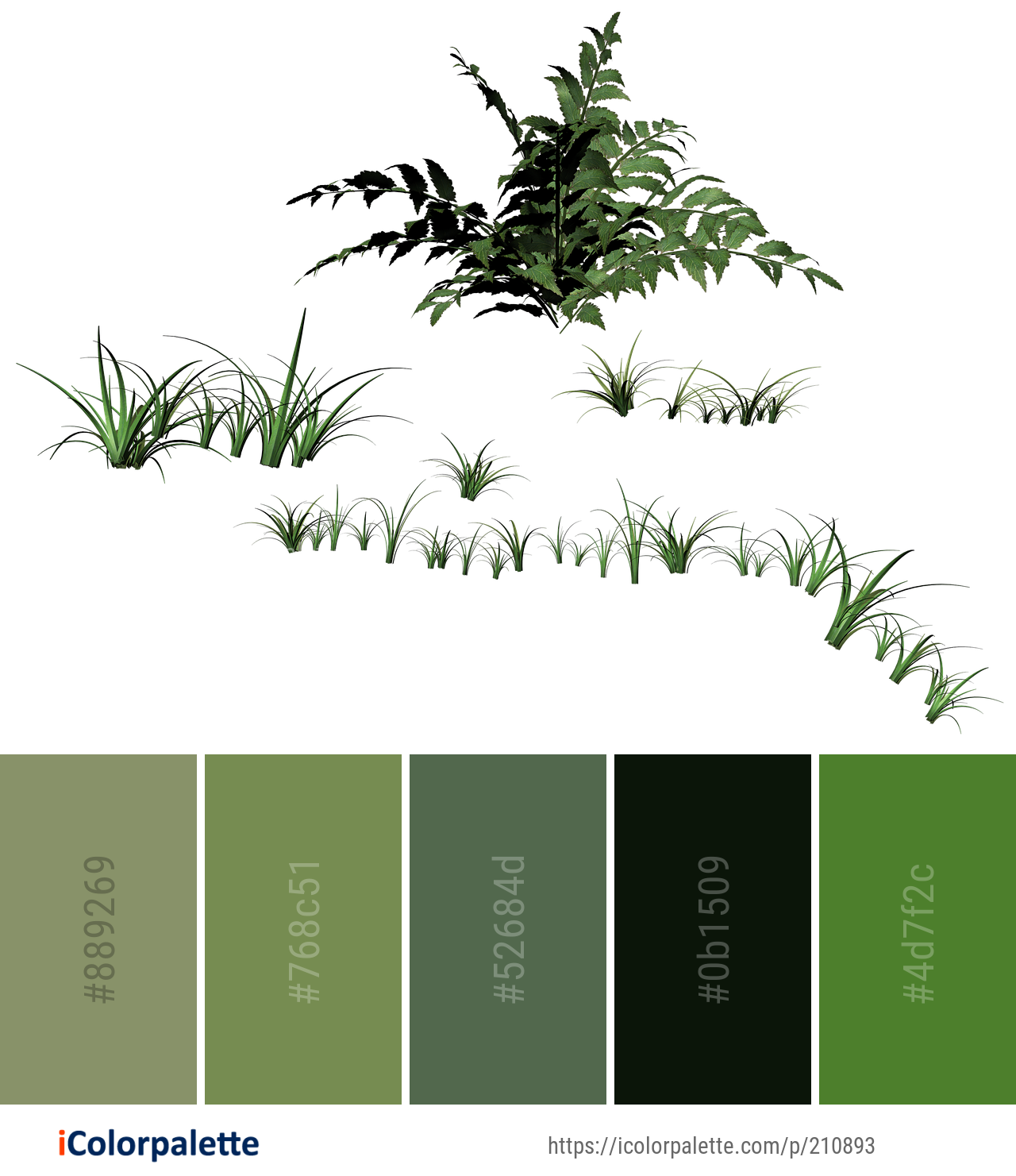 Color Palette Ideas from Plant Tree Leaf Image | iColorpalette
