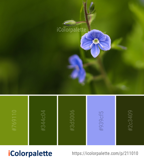 12+ Flax Color Palette ideas in 2025 | iColorPalette