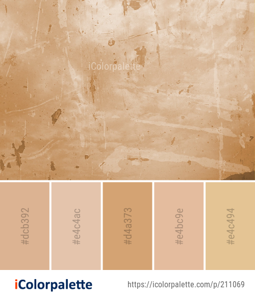 78+ Floor Color Palette ideas in 2026 | iColorPalette