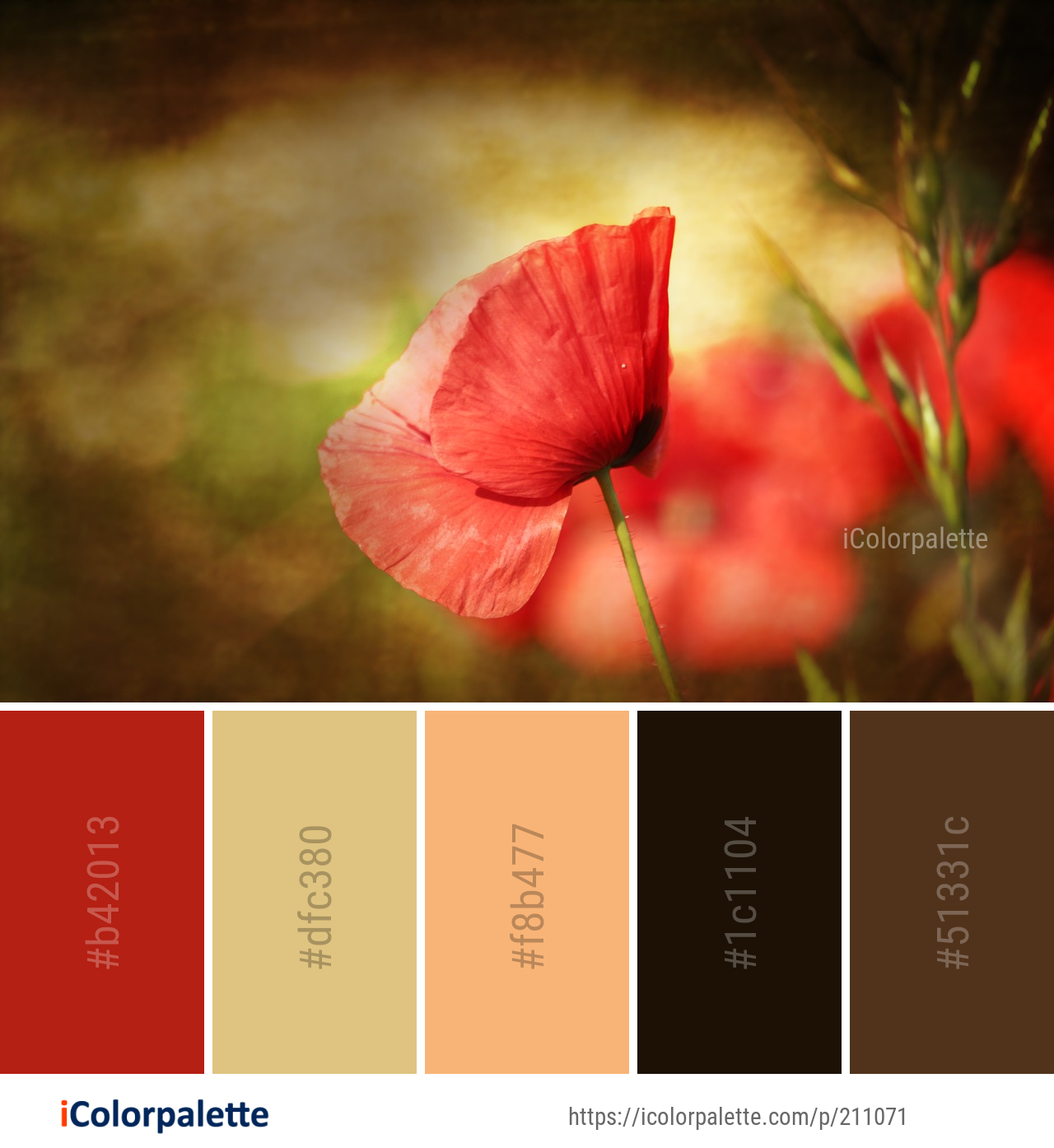 Color Palette Ideas from Flower Red Wildflower Image | iColorpalette