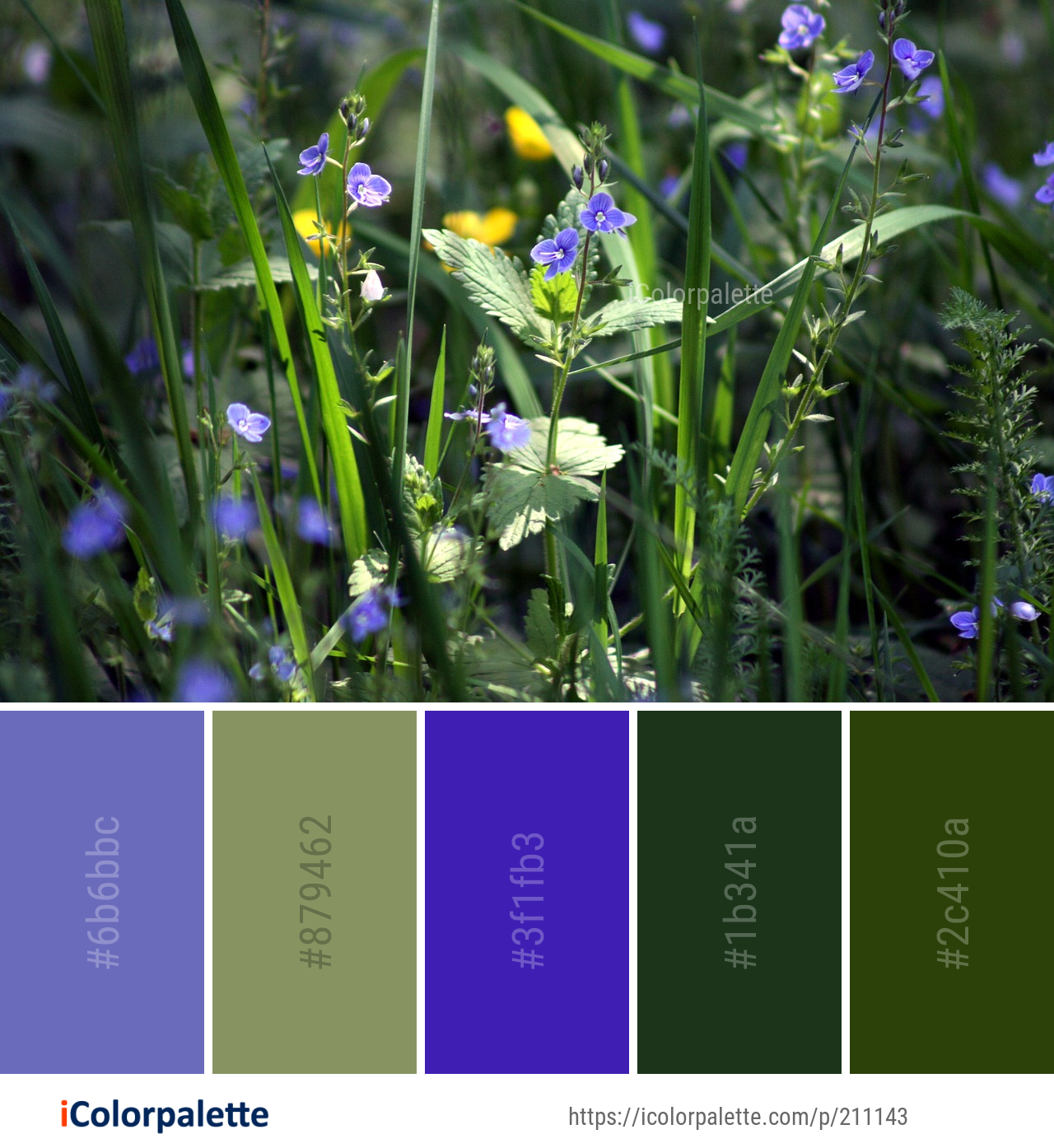 Color Palette Ideas from Flower Plant Flora Image | iColorpalette