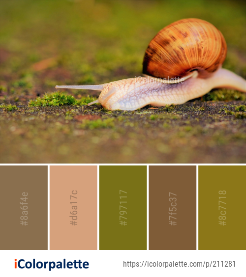 28 Slug Color Palette ideas in 2025 | iColorpalette