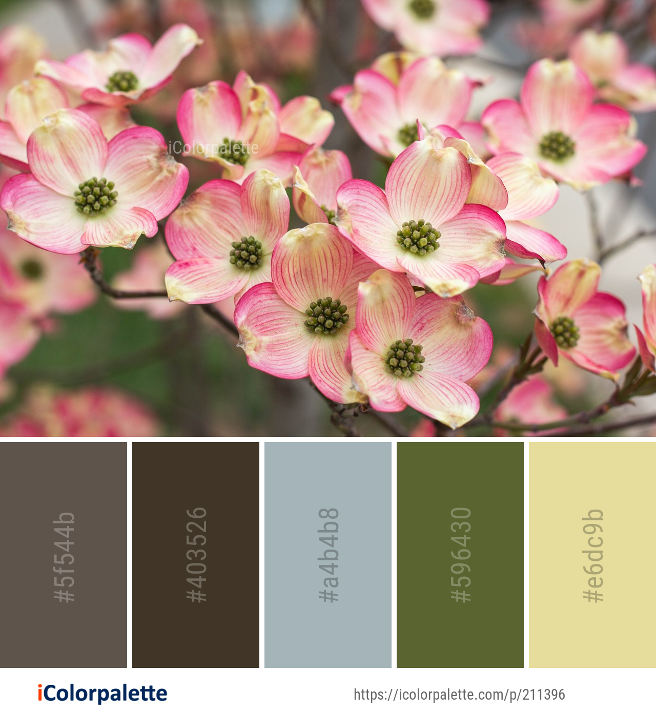 title | iColorpalette