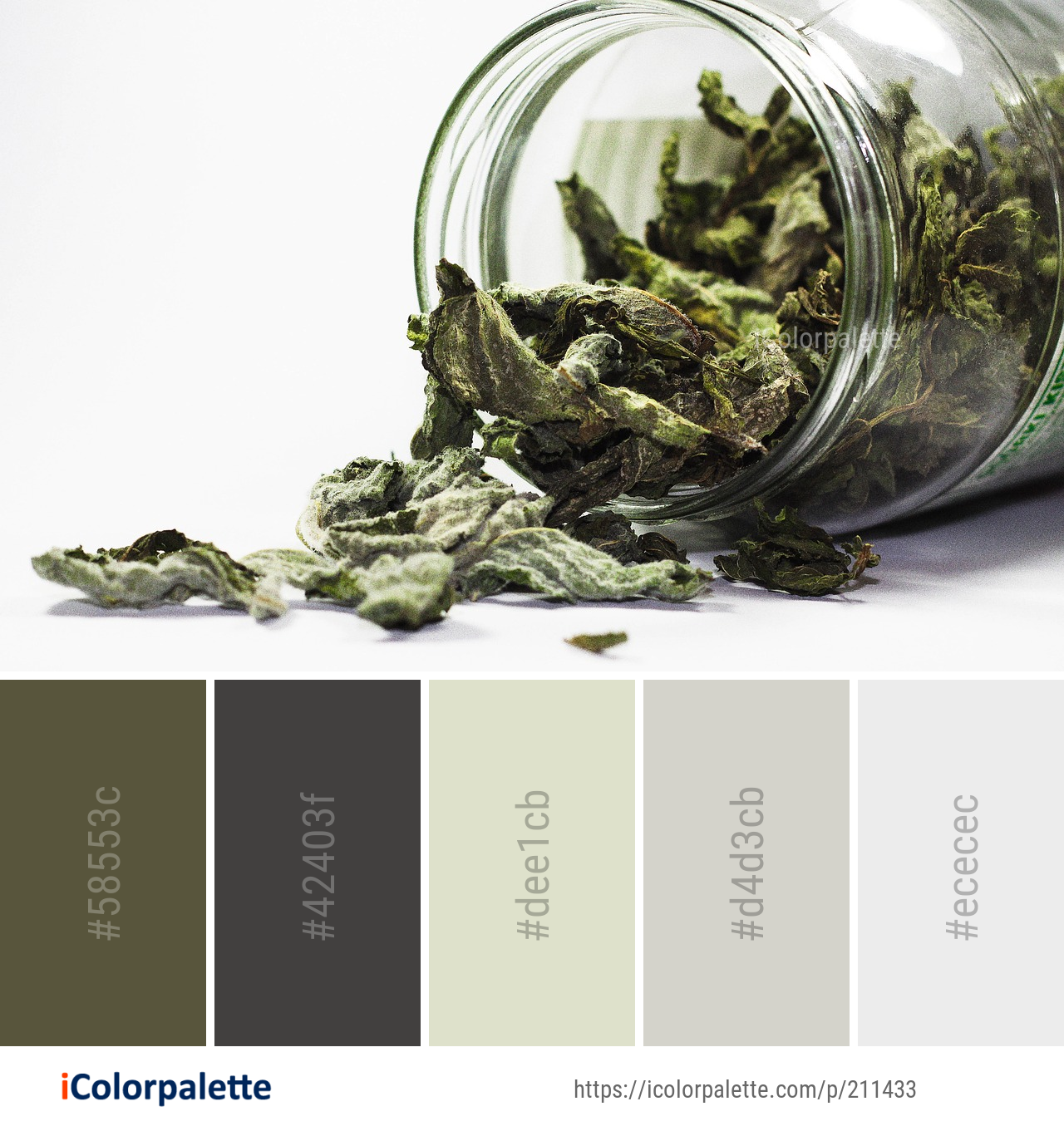 title | iColorpalette