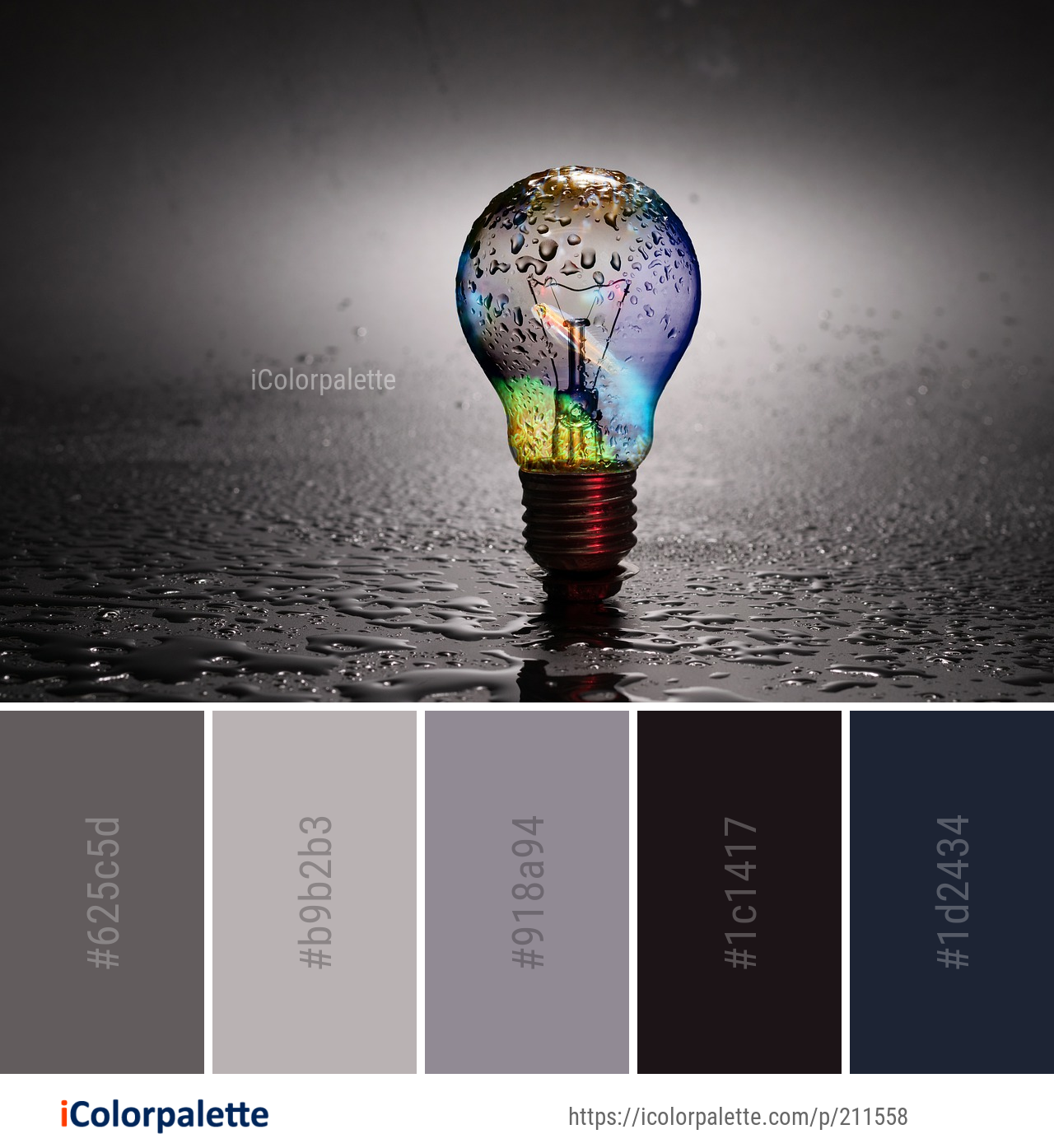 Color Palette Ideas from Water Reflection Earth Image | iColorpalette