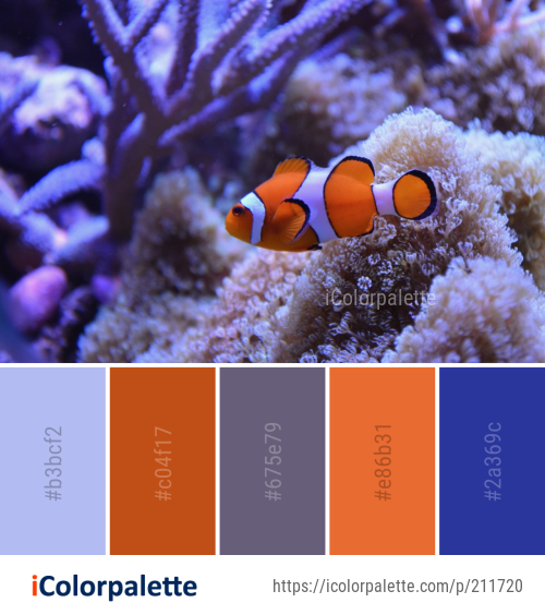 Coral Reef Color Palette